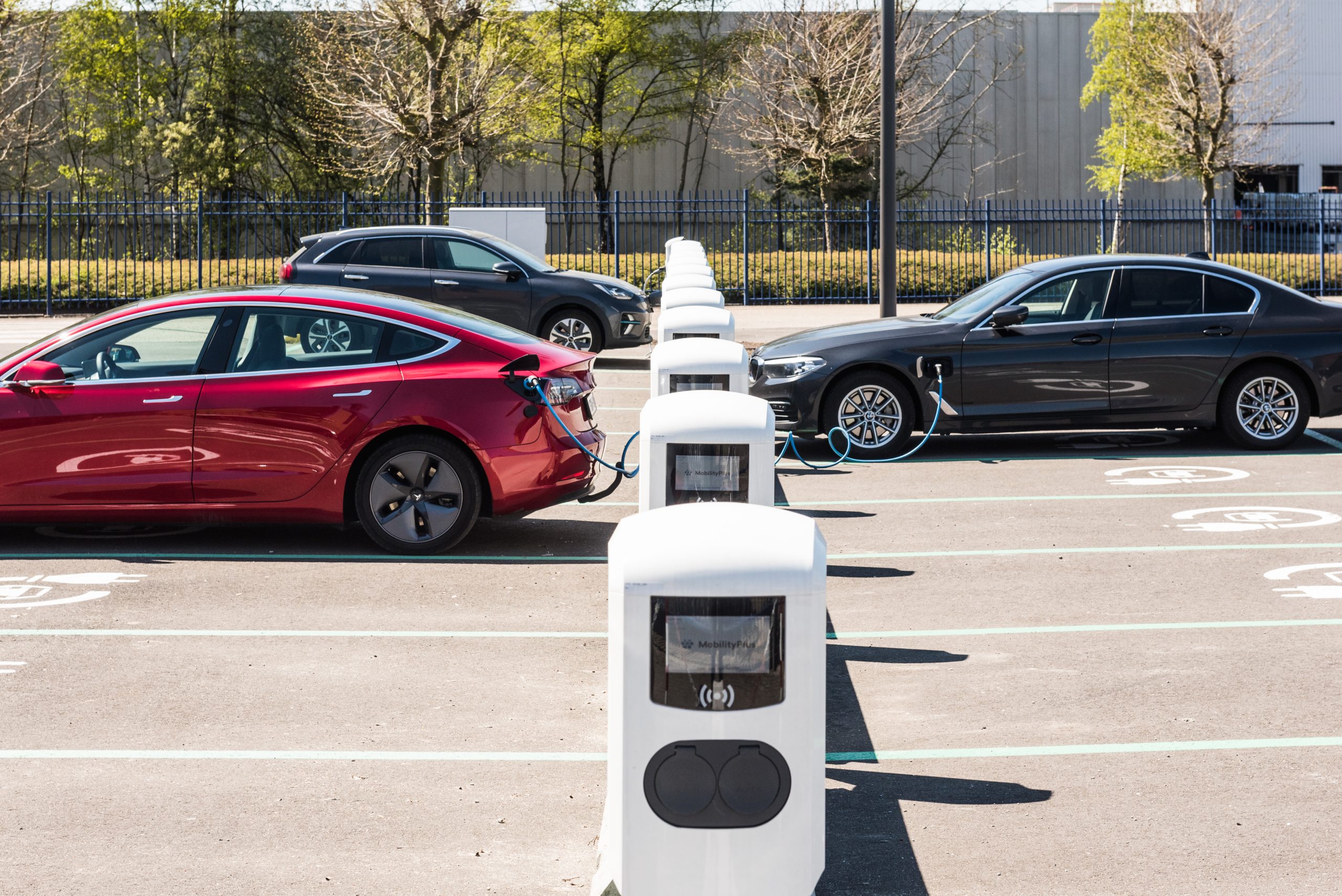 Judge Denies Bail for Man Charged with Killing Son’s Emotional Support ...